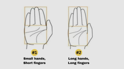 Personality Test: The shape of your hand reveals great insights about ...