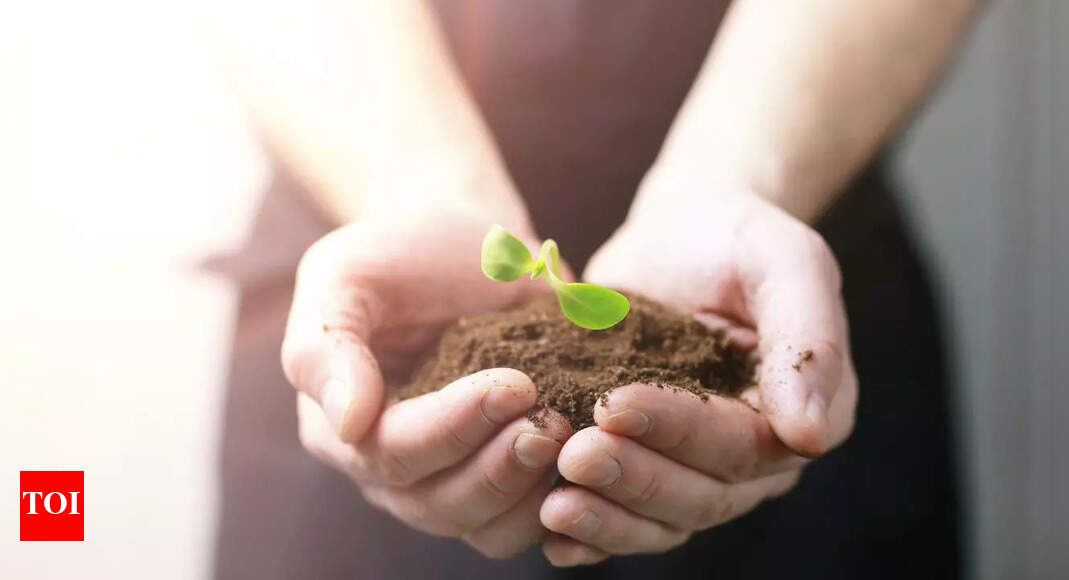 World Environment Day: Integrating eco-conscious choices in daily life ...