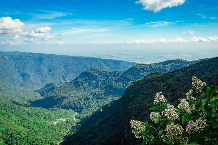 Highest Rainfall Places in India: 5 wettest places to visit in India ...