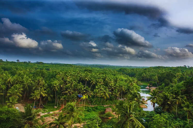 India Rainforests: Most vibrant rainforests from across the Indian ...