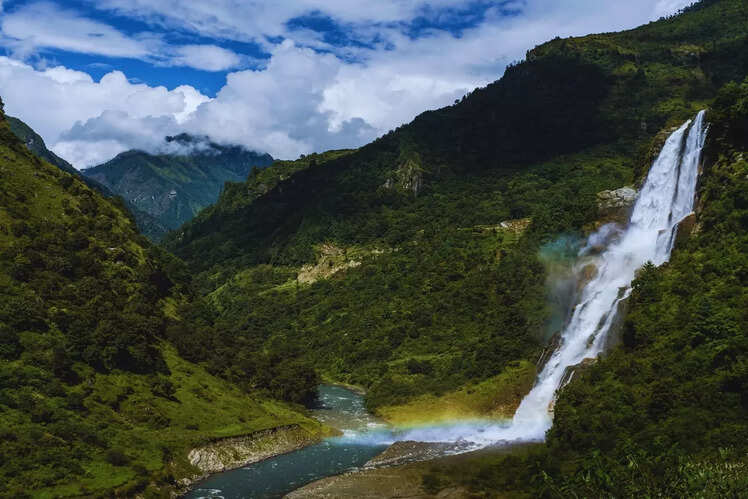 India Rainforests: Most vibrant rainforests from across the Indian ...