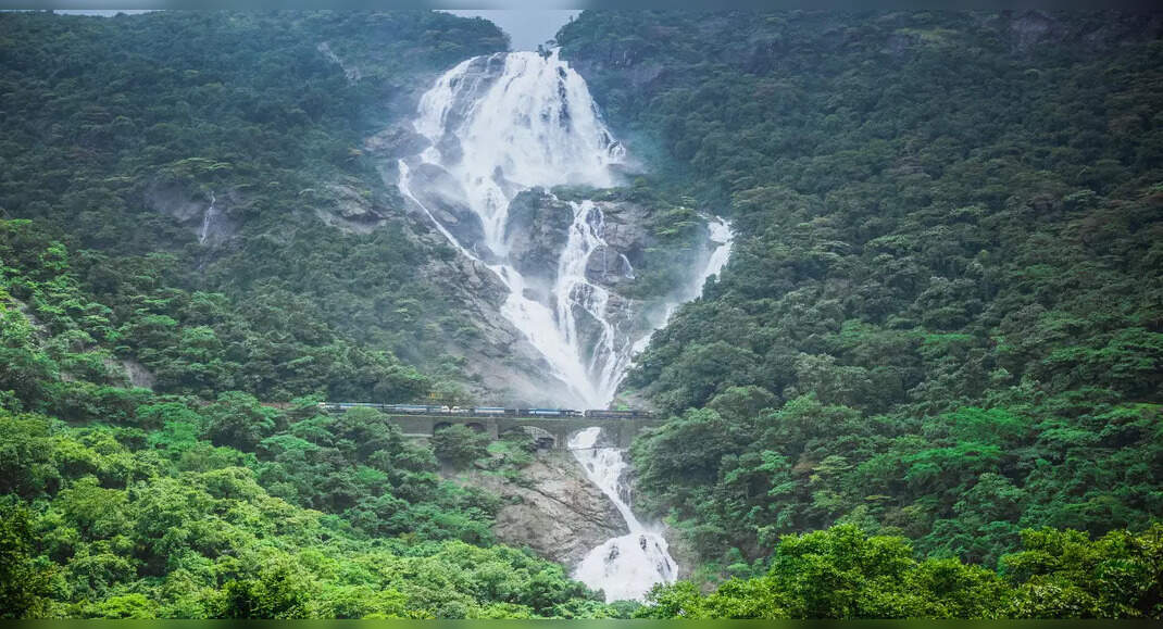 Goa beyond beaches: Best sustainable places to visit in Goa | TimesTravel