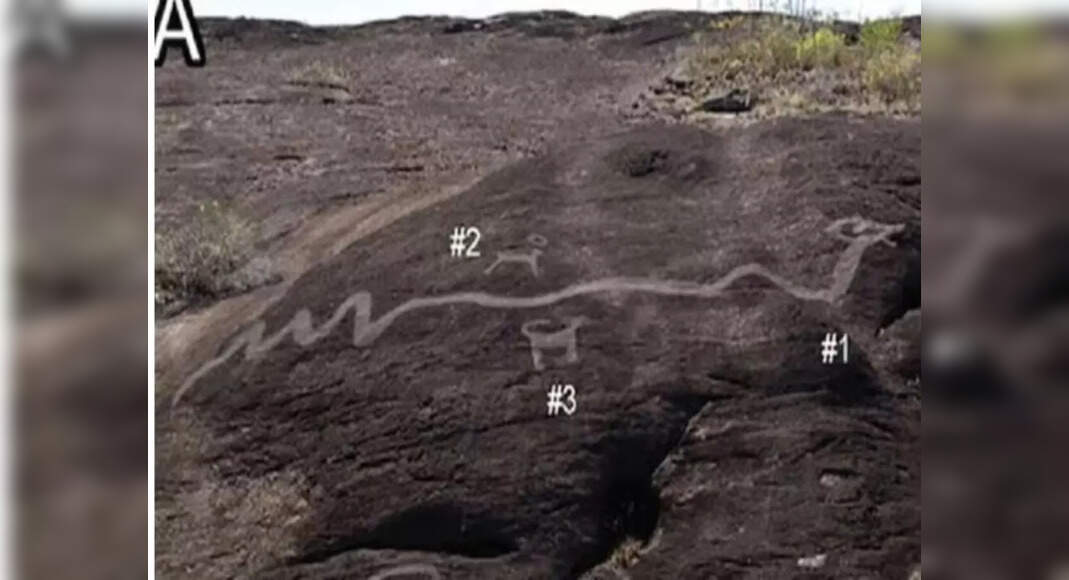 1300-year-old centipedes discovered by archaeologists in the ‘middle of ...