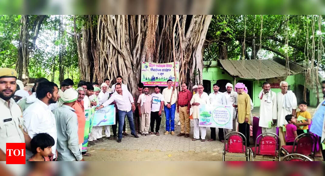 Haryana Government Grants 'Heritage' Tag to 66 More Trees on World ...