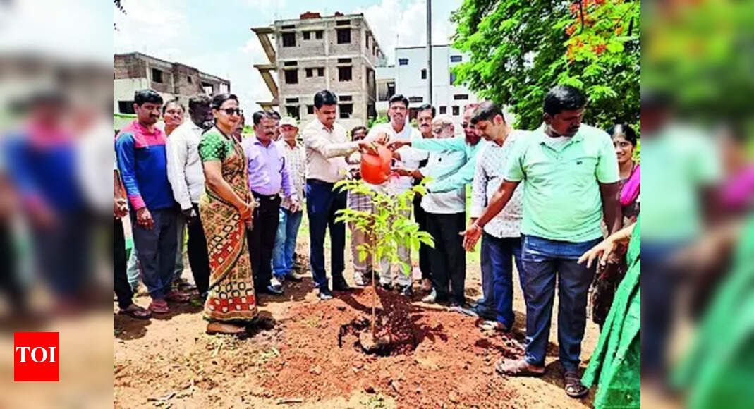 HDMC: HDMC to plant 1 lakh saplings in twin cities | Hubballi News ...