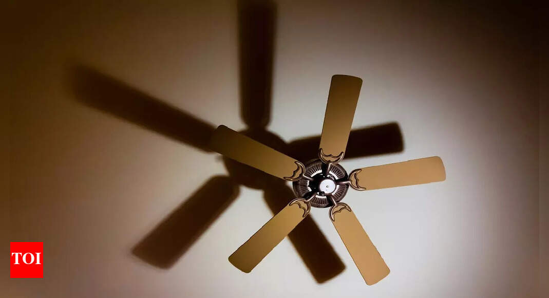 Bldc Fan: Best BLDC Fans For Better Air Circulation and Less ...