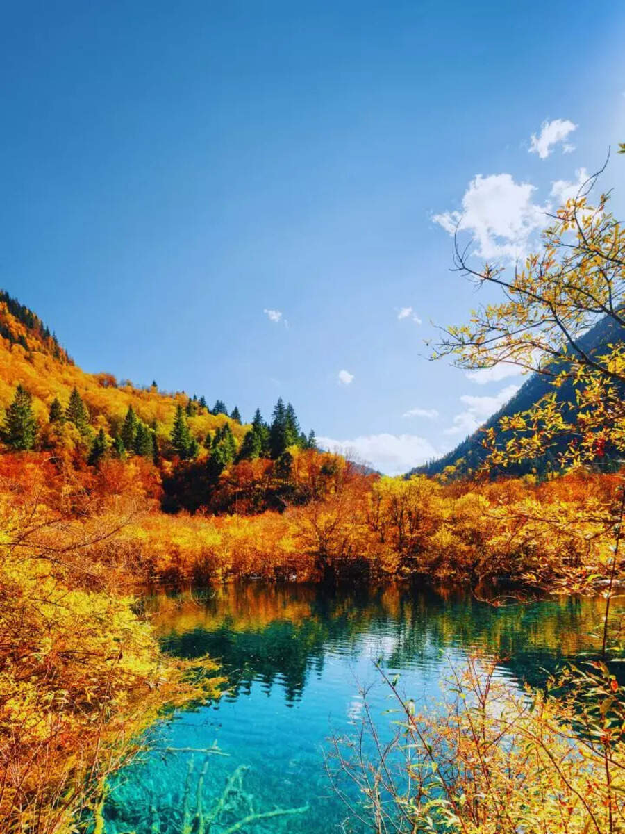 Asia Natural Landscapes: 8 lesser known natural escapes in Asia | Times ...