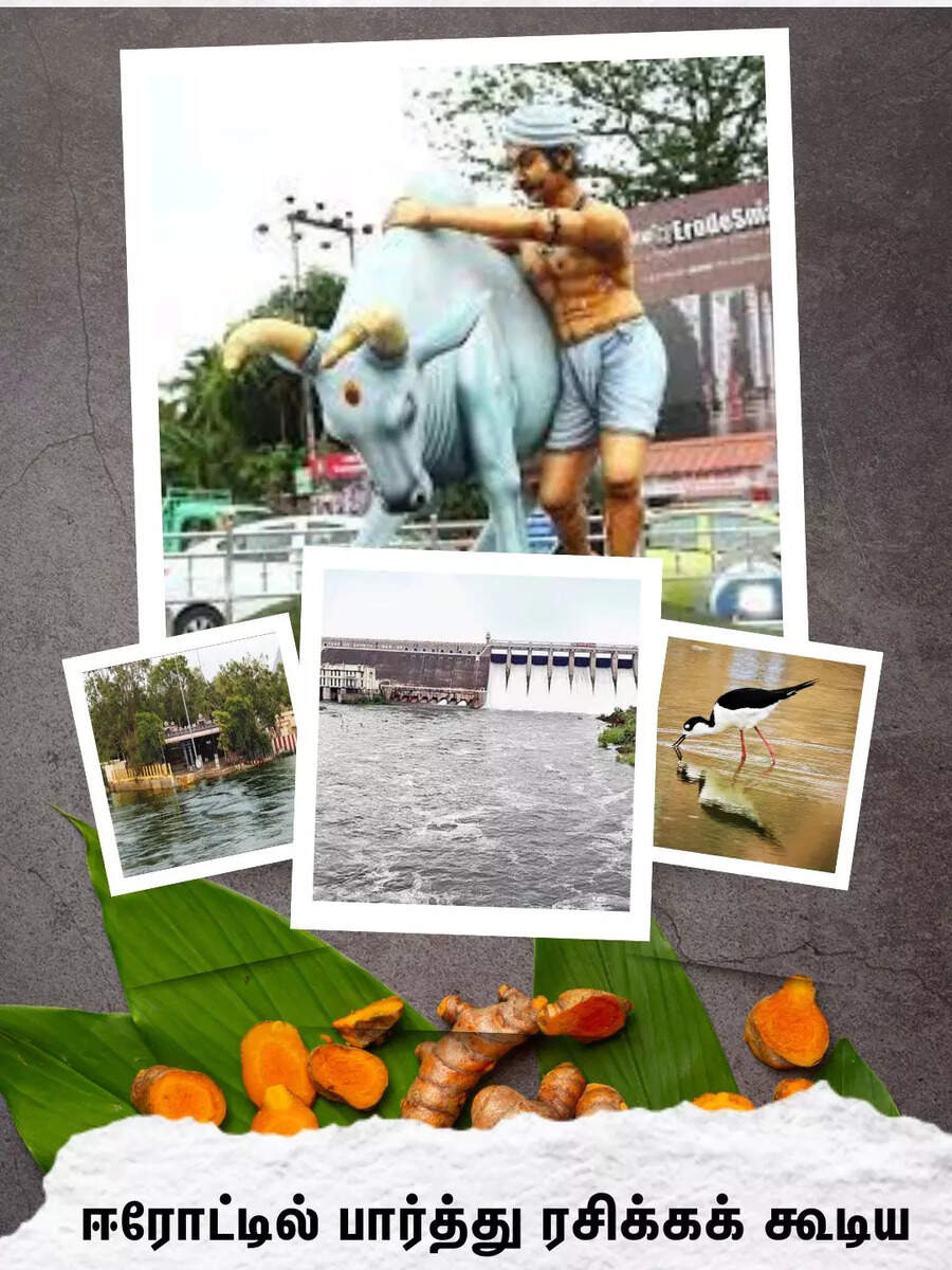 Top sights in Erode: ஈரோடு மாவட்டத்தில் பார்த்து ரசிக்கக் கூடிய டாப் 10 ...