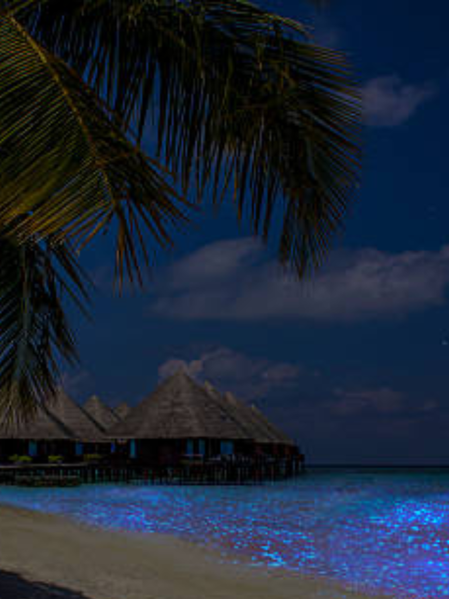 Top 10 Unusually Coloured Beaches All Around The World | Times Now