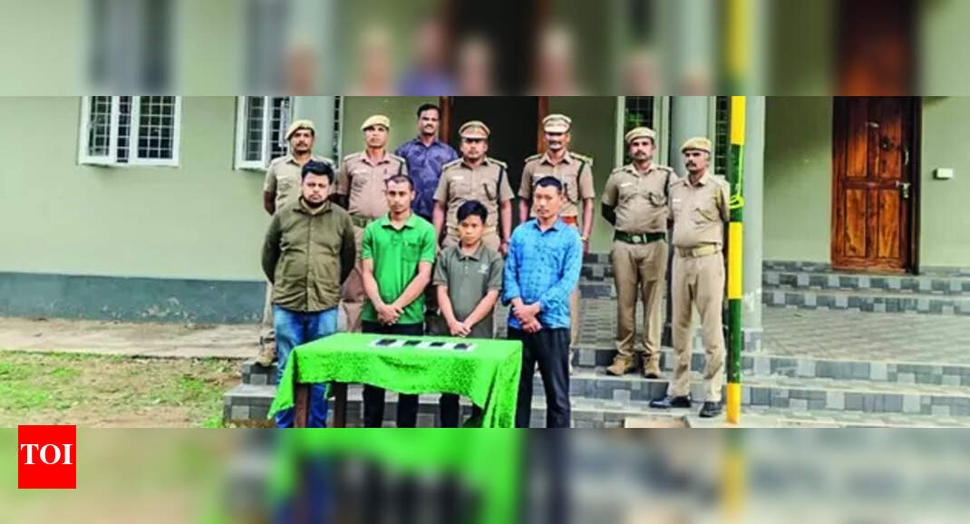 Guesthouse Staff: Guesthouse staff held for feeding elephants to ...