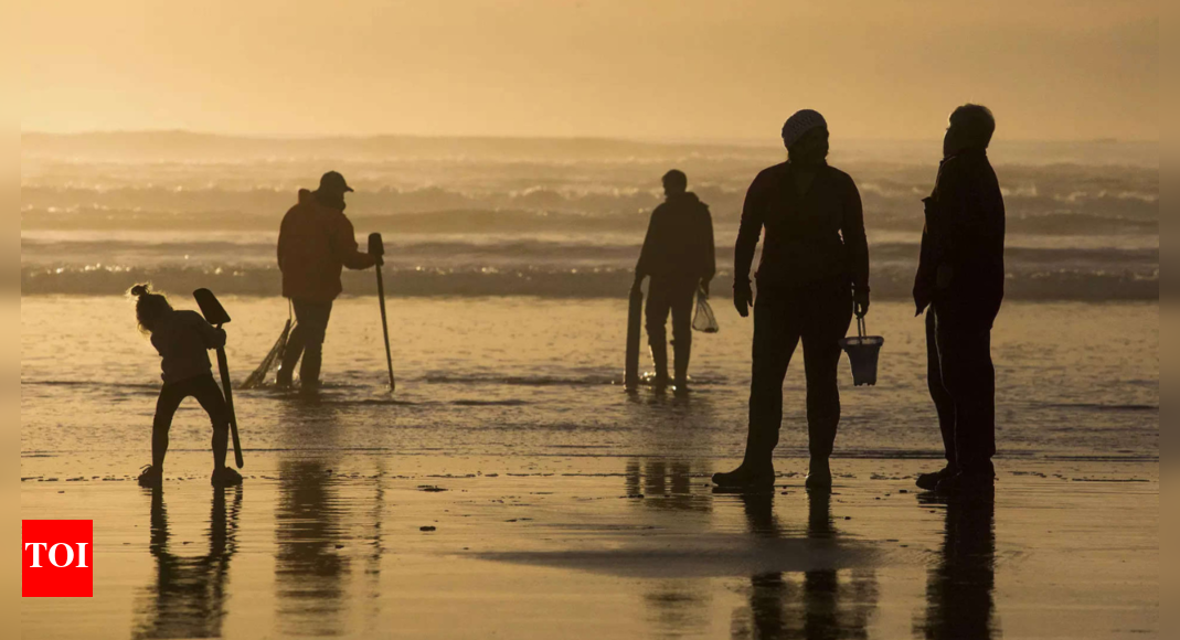 Oregon closes more coastal shellfish harvesting due to 'historic high ...