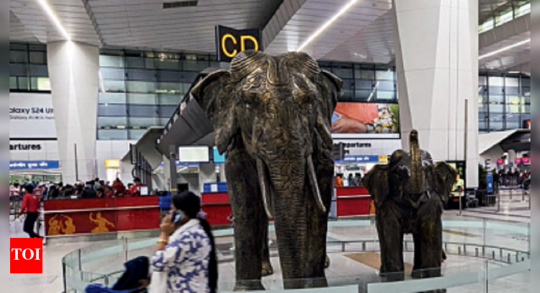 Delhi Airport: IGI International Traffic Influx Management Plans ...