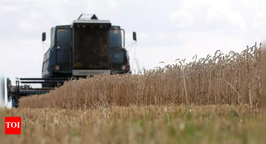 Ukraine: Ukraine's winter crops to ripen earlier due to unusually warm ...