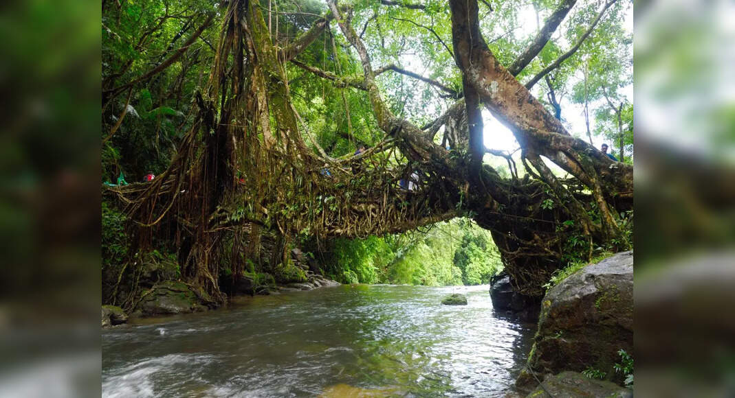 Most beautiful and must-visit natural wonders in India | TimesTravel