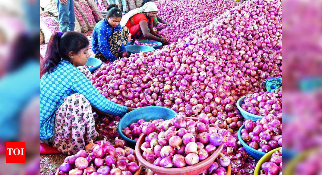 Wholesale Onion Price: Wholesale Onion Prices Increase by 20% at Lasalgaon APMC | Nashik News ...
