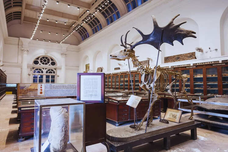 10 museums in India to visit once in a lifetime | Times of India Travel