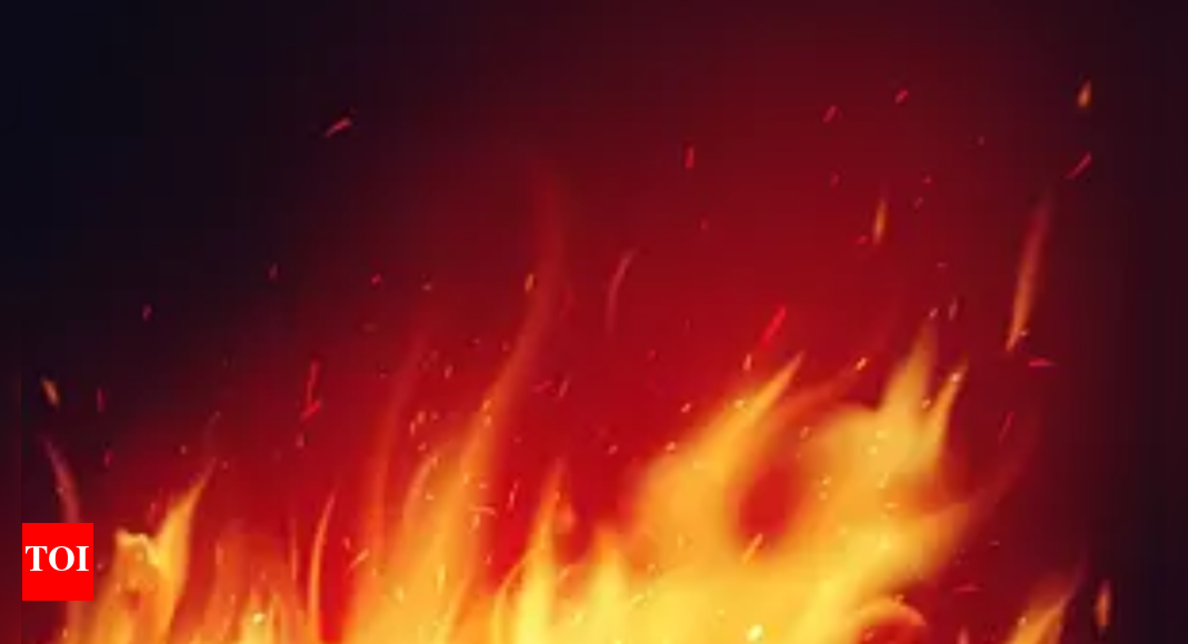 Severe Blast in Illegal Firecracker Factory in West Bengal Injures One ...