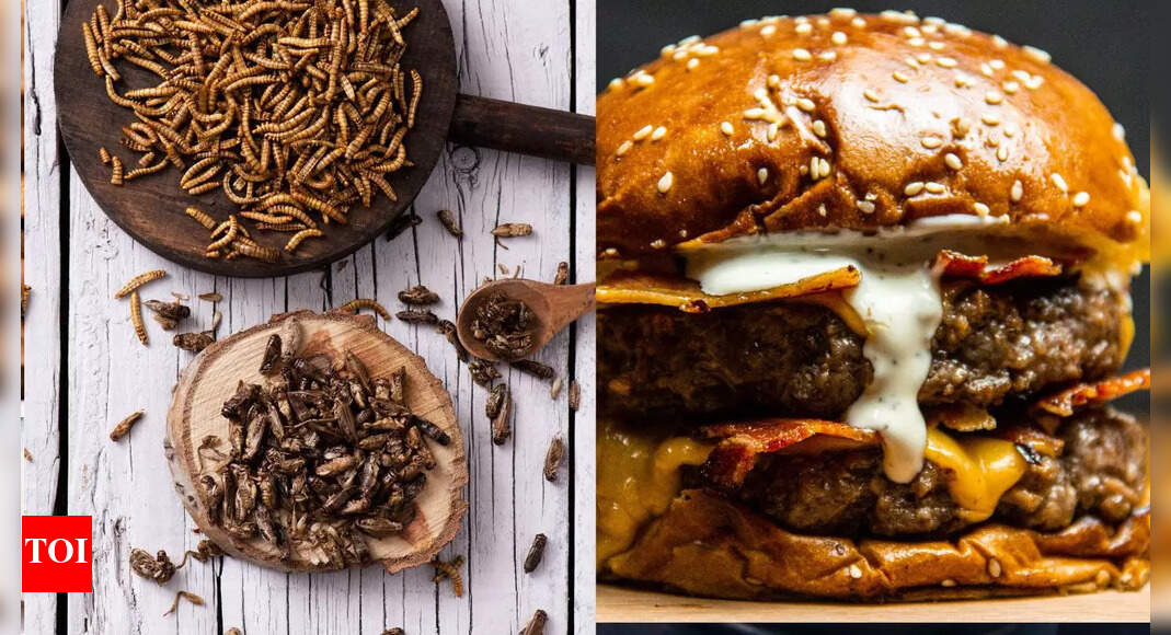 This Bugs Burger from China has left the internet in disgust - Times of ...