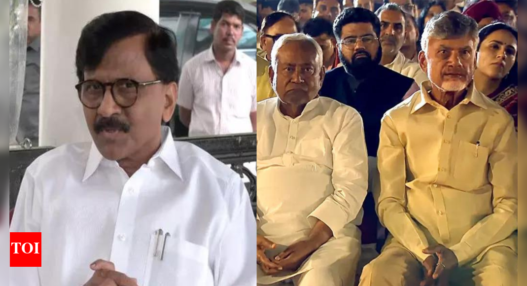 'Dissatisfied souls': Sanjay Raut on Naidu & Nitish after portfolio ...