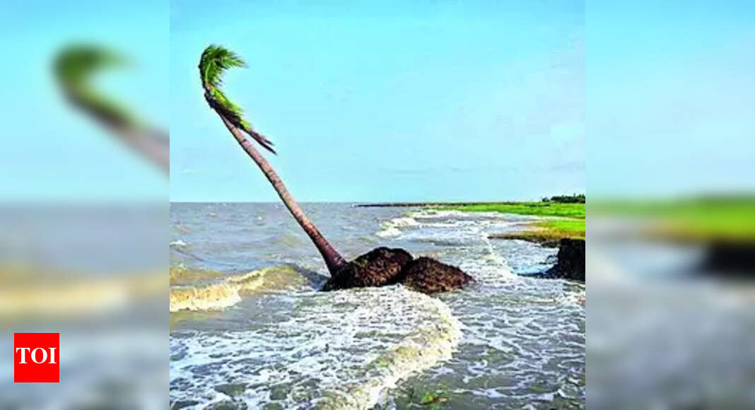 State draws up plan to save Sundarbans from climate crisis | - Times of ...