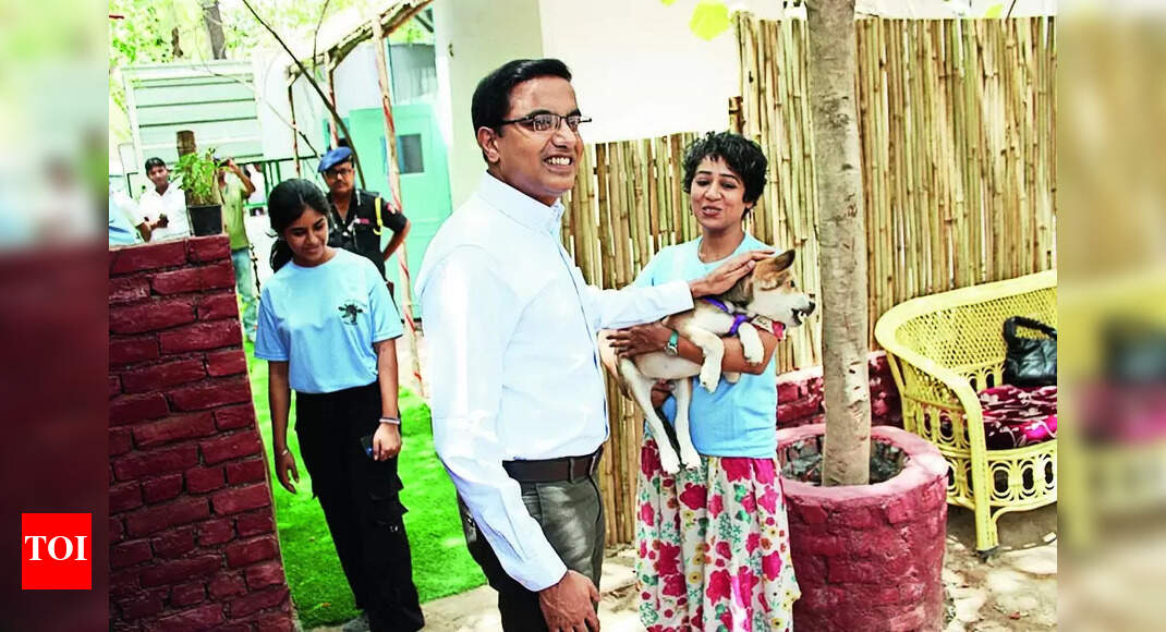 Stray Dogs: City gets its first shelter for stray dogs, three more soon ...