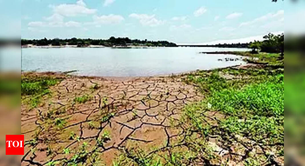 River Basin: Treat each river basin as a hydrological unit | Kochi News ...