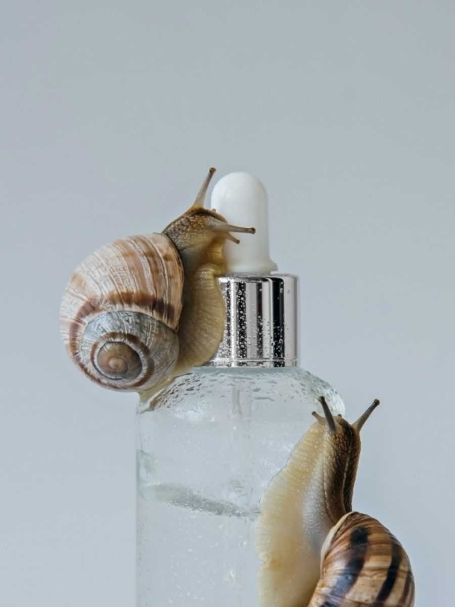 Experience the Snail Mucin Benefits! | Times Shopping Guide