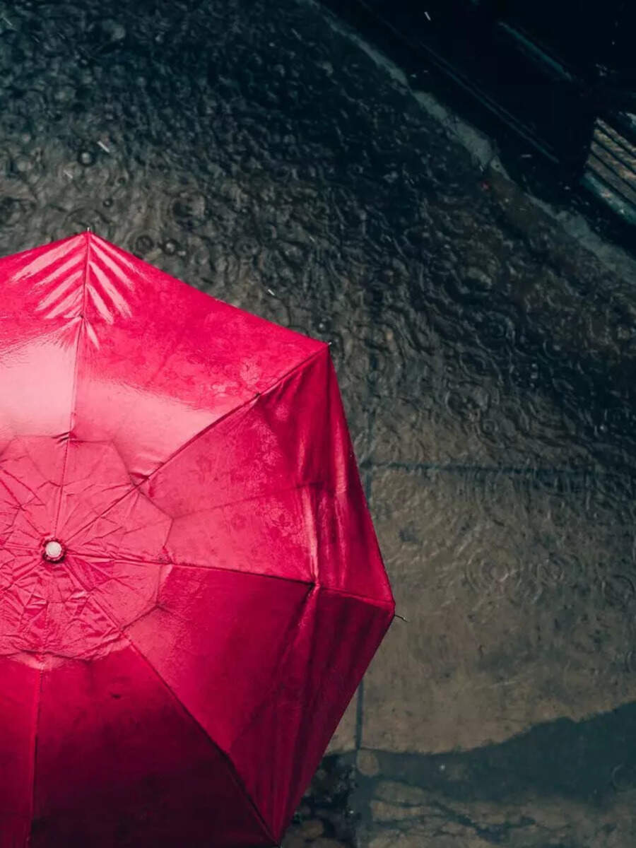 Top 10 Rainiest Places on Earth: These 10 Places Have Most Rainfall in ...