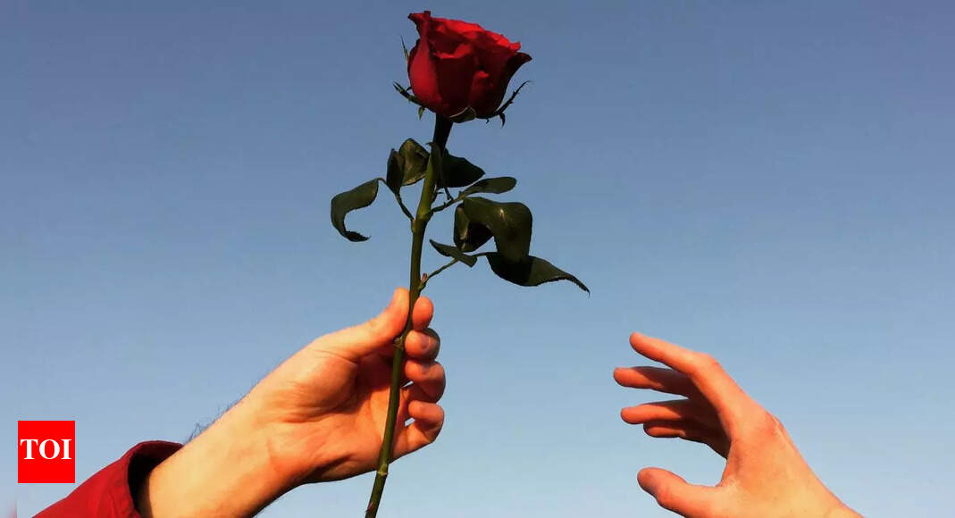 Why red rose is a symbol of love in romantic relationships - The Times ...