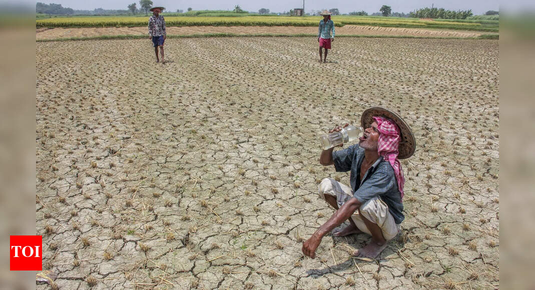 Bengal Government Releases ₹293 Crore to 2.1 Lakh Weather-Hit Farmers ...