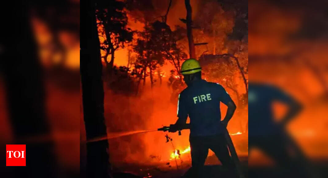 Forest Fire: State Records 7 New Forest Fire Incidents | Dehradun News ...