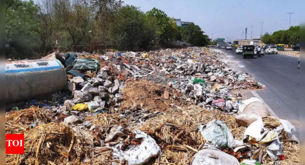 City’s good life promise drowns in trash | Gurgaon News - Times of India