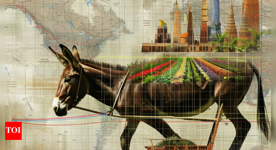 More donkey work: Why Pakistan Economic Survey is talking about the ...