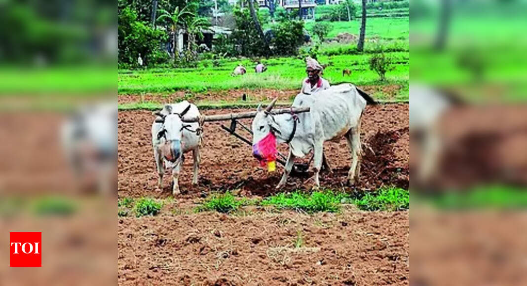 Farmers Registry: Unique IDs to help state farmers avail benefits from ...