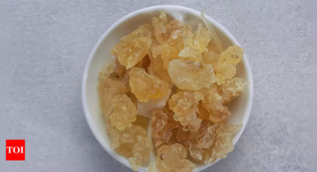 Gond vs Gond Katira: What's the Difference? | - Times of India