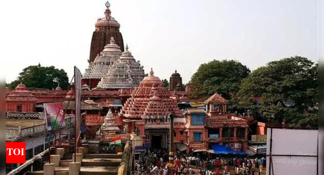 The significance of each gates of Puri Jagannath Temple | Bhubaneswar ...