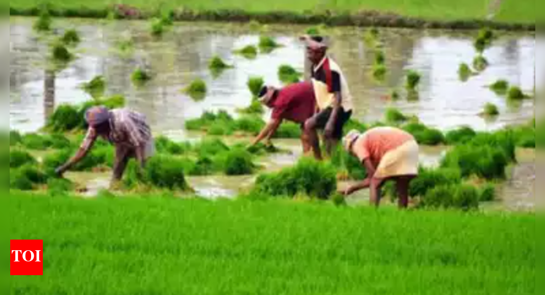 Delay in Cauvery water release: Tamil Nadu govt announces Rs 78.67crore ...