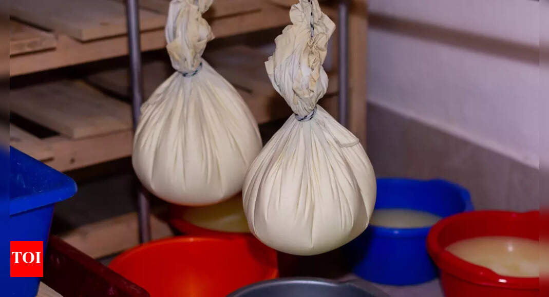 How to Make Hung Curd: Tips for Creamy and Thick Curd | - Times of India