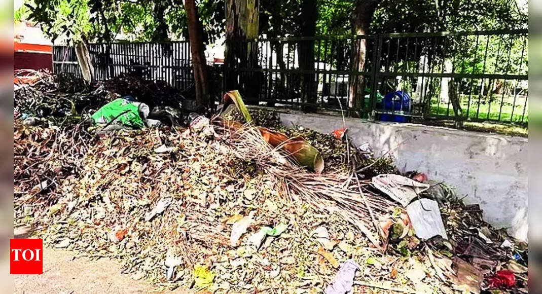 Mamta Ashu: Mamta Ashu accuses MC of wasting govt funds | Ludhiana News ...