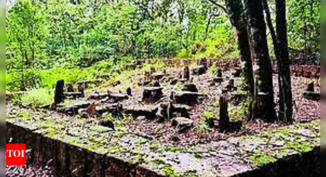 Sacred Groves: Scientists moot Unesco tag for ‘sacred groves’ saved by ...