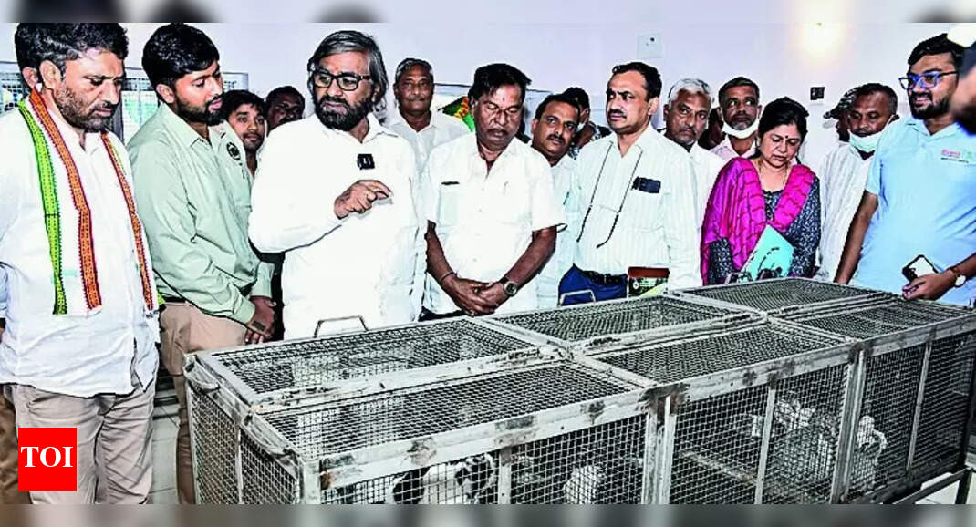 Forest Min Khandre: Decision on Ropeways After Wider Discussion: Forest ...