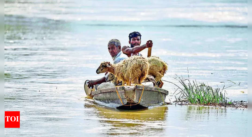 Flood threat looms as torrential rain raises water level of Brahmaputra ...