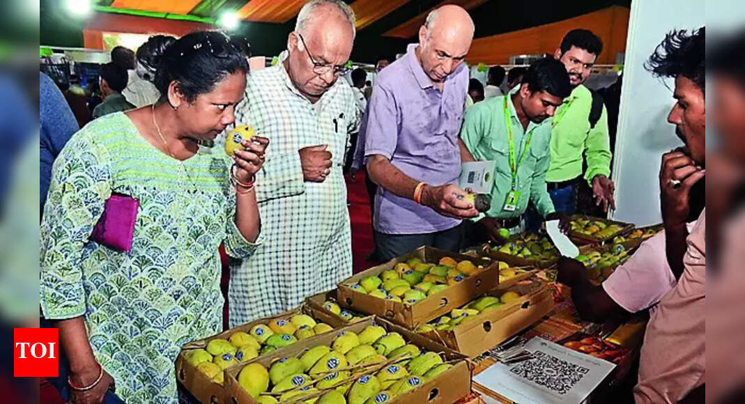 Chausa: Chausa's tour: From battle to mangoes | Patna News - Times of India