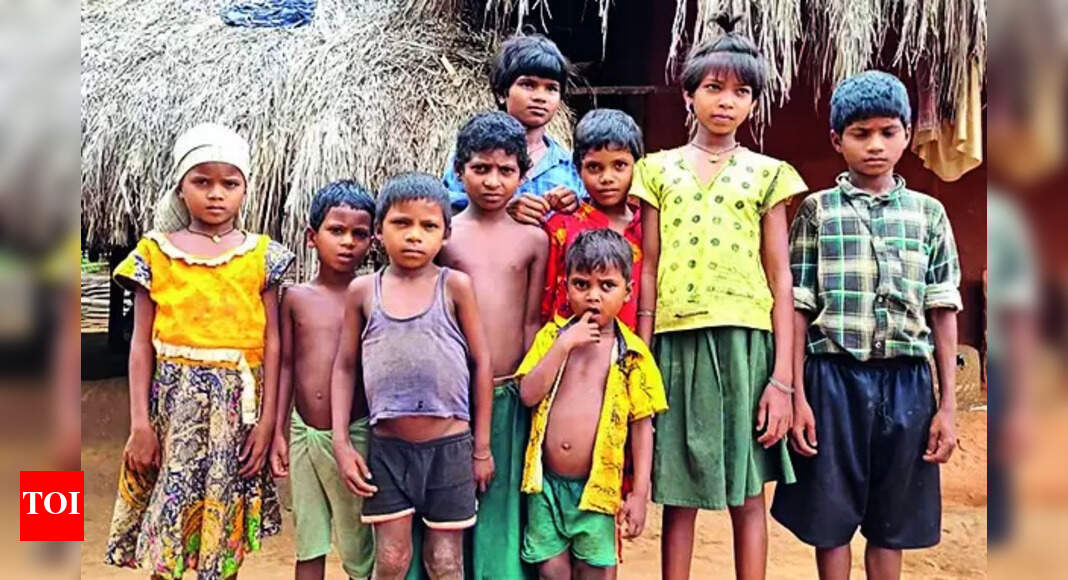 Niyad Nellanar Scheme: Niyad Nellanar scheme to boost basic amenities ...