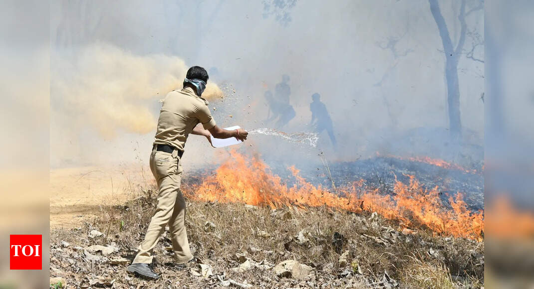 Forest Fires: Forest department accountability in fighting forest fires ...