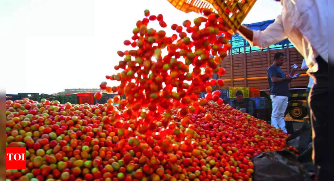 Pakistan: Tomato prices soar to PKR 200 per kg ahead of Eid festivities ...