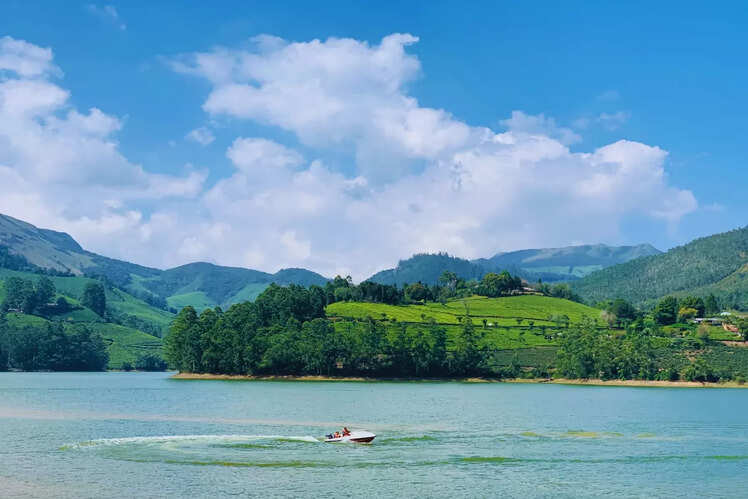 Munnar Monsoon Travel: How to get the best of Munnar this monsoon ...