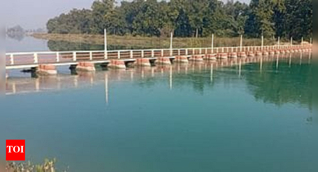 Sharda canal water level drops, impacts power generation & irrigation ...