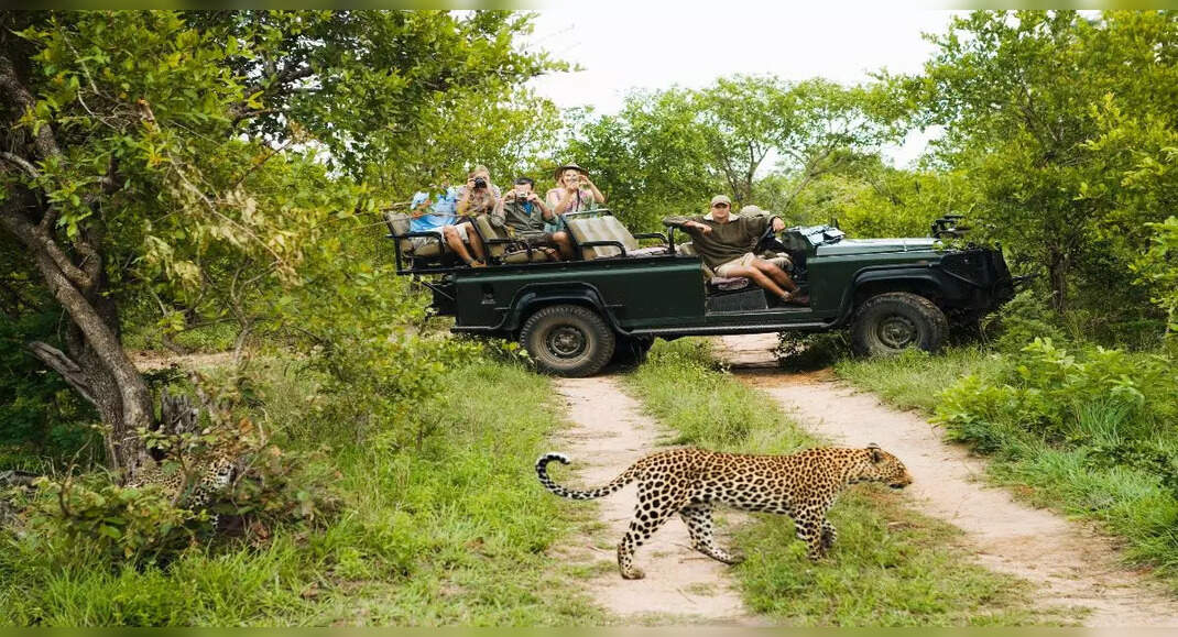 World Safari Destinations: World’s 7 wildest safari destinations for ...