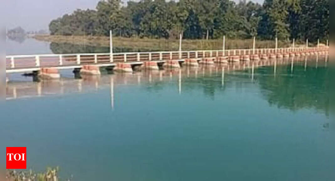 Sharda canal water level drops, impacts power generation & irrigation ...